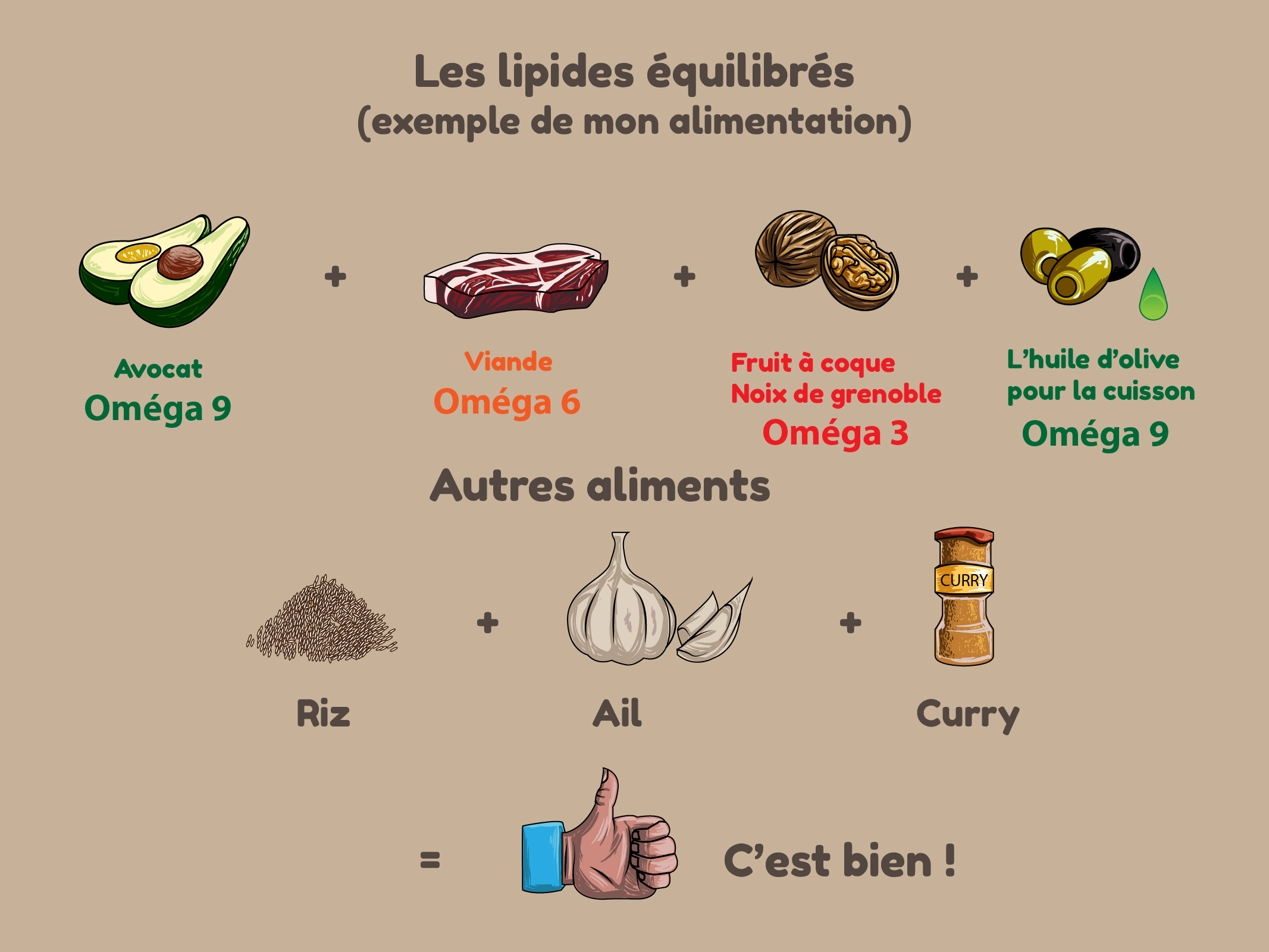 Biosphère mini article 1 : les lipides - Site professionnel Adrien Cambien